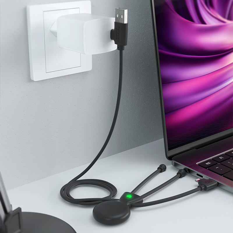 Mr Bio Long Fast 60W – XOOPAR